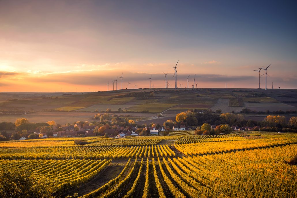 ECB climate-risk stress test: A key learning exercise for banks ...